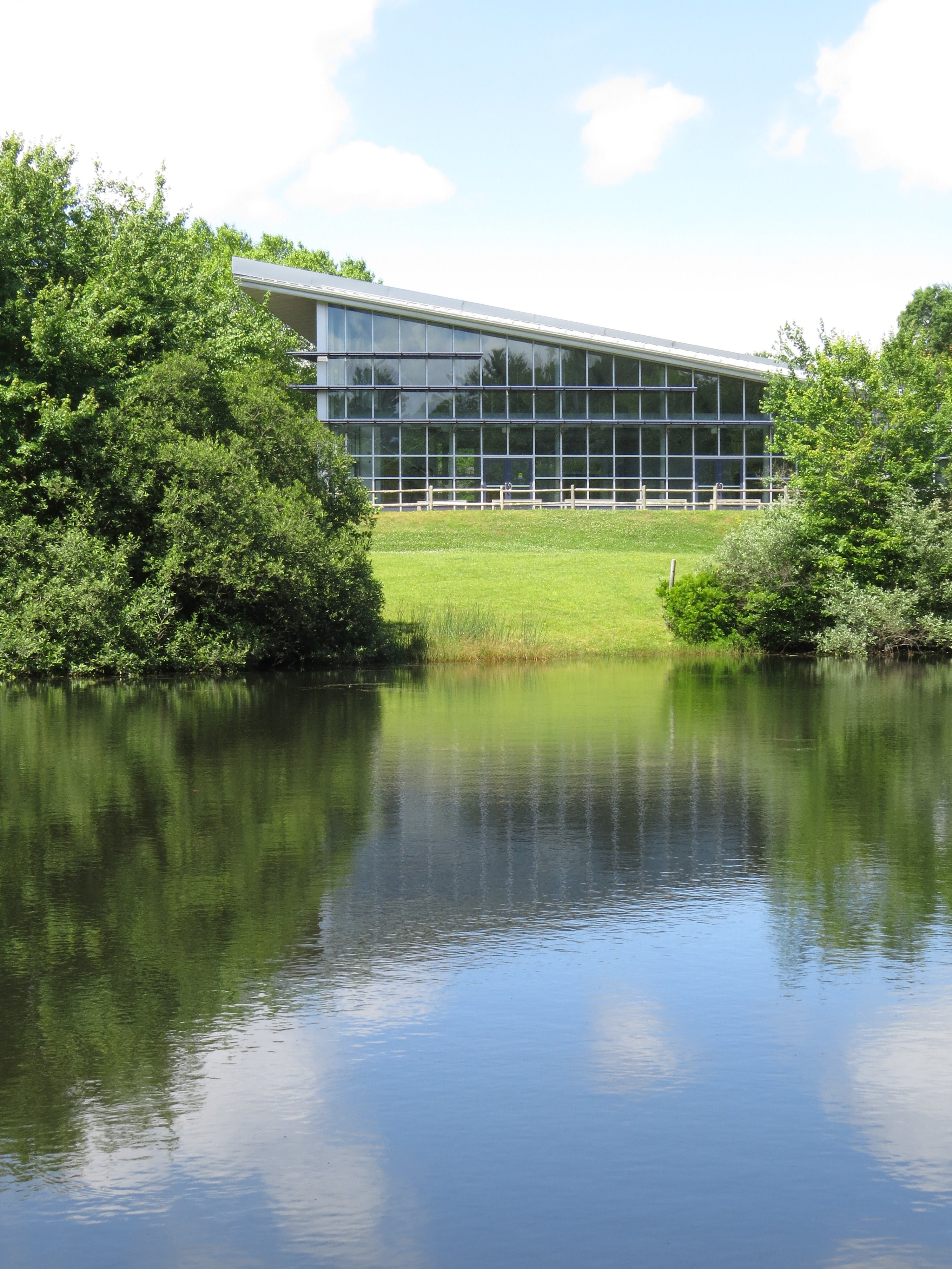 The Bridge Center | Easterseals Massachusetts