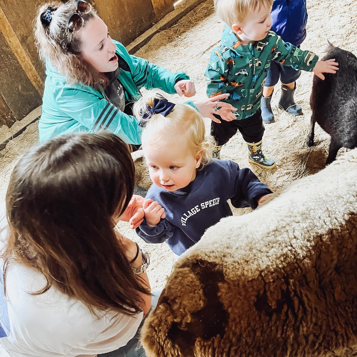 Barnyard Explorers: Search, Play & Move: Ages 3-6 | Easterseals ...