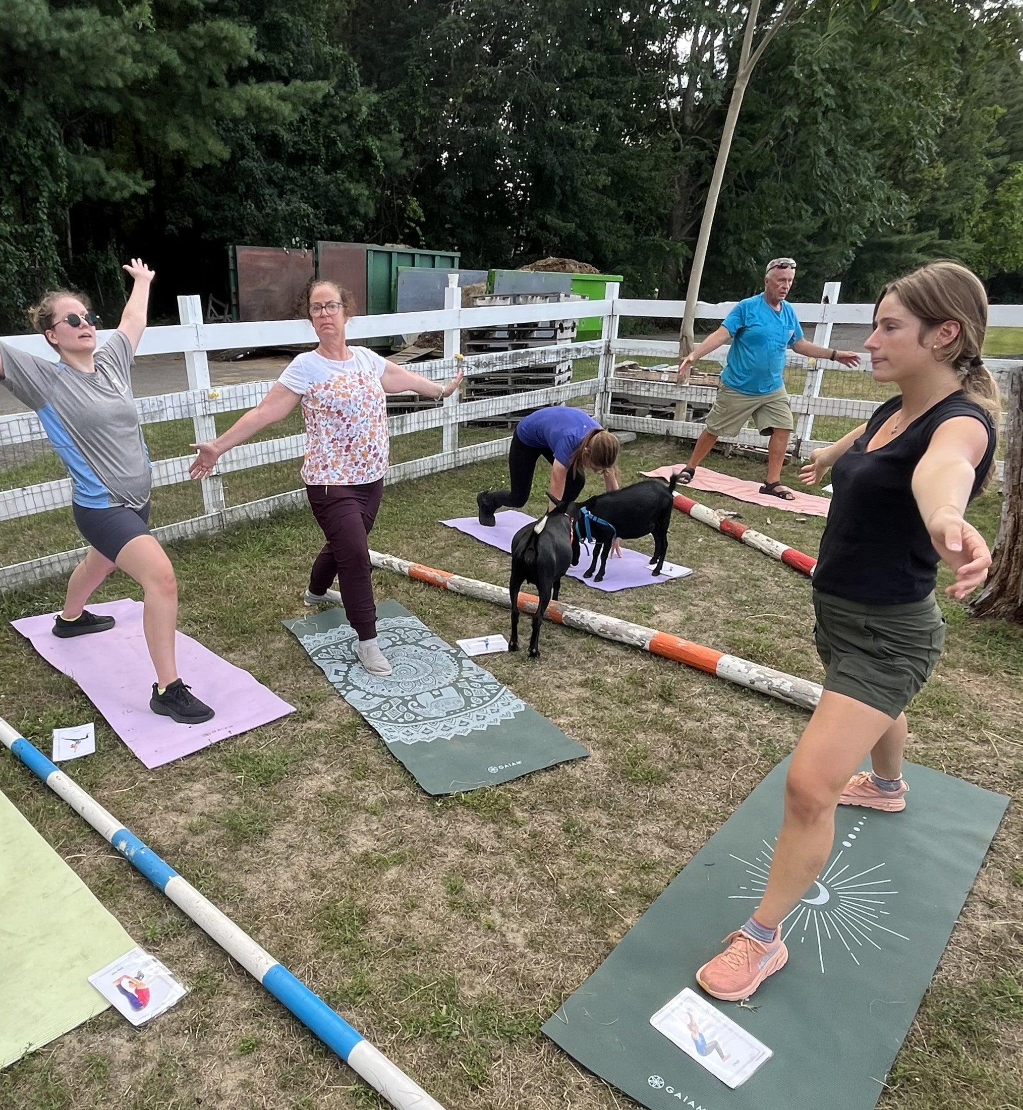 Wellness in Motion: A Family Yoga Adventure with Goats | Easterseals ...